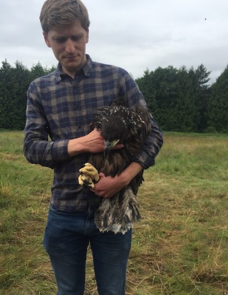 About us - Roy Dennis Wildlife Foundation